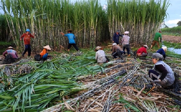 Hội nhập ATIGA: Dưới góc nhìn của người sử dụng đường